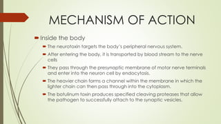 Neurotoxins in Food | PPTX