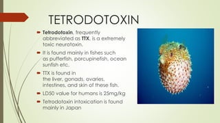 Neurotoxins in Food | PPTX