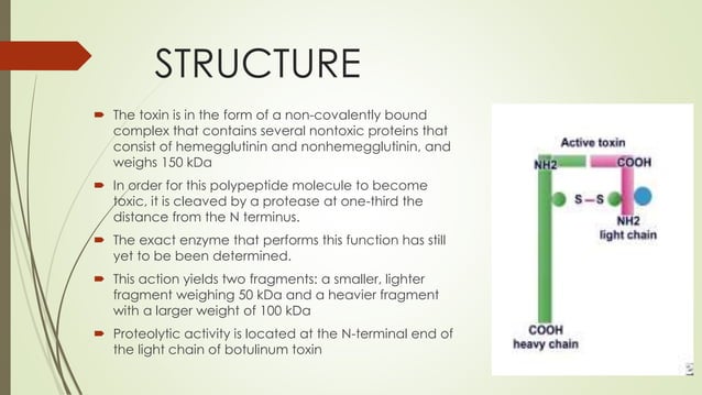 Neurotoxins in Food | PPT