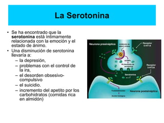 Neurotransmisores | PPTX