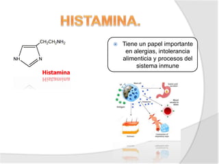 Neurotransmisores | PPTX