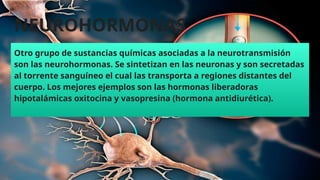 neurotransmisores del sistema nervioso central | PPTX