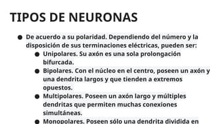 neurotransmisores del sistema nervioso central | PPTX