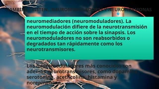 neurotransmisores del sistema nervioso central | PPTX