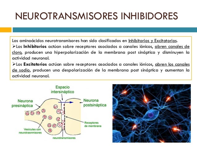 NEUROTRANSMISORES INHIBIDORES