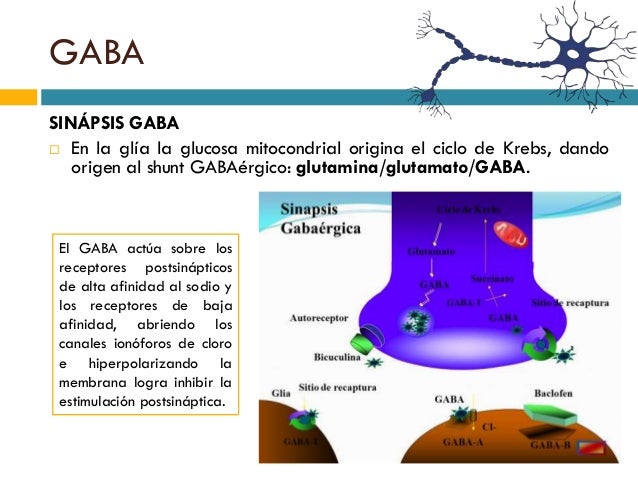 NEUROTRANSMISORES INHIBIDORES