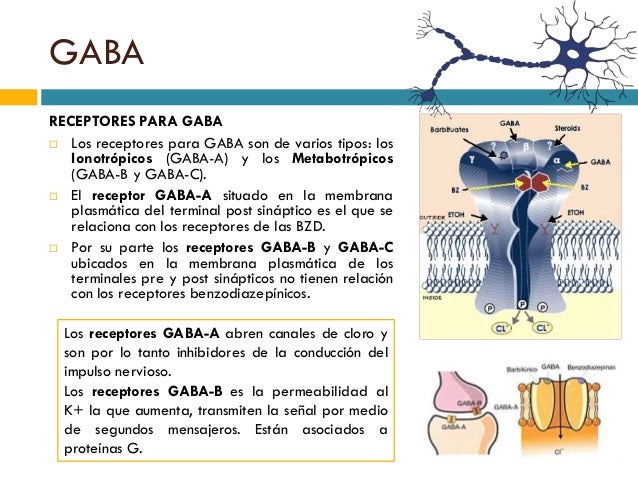 NEUROTRANSMISORES INHIBIDORES