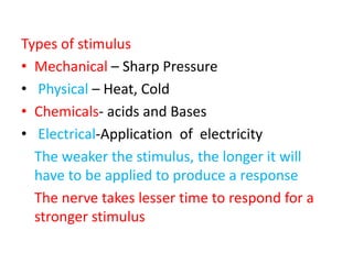 Neurotransmission | PPT