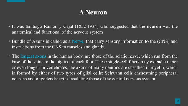 Neurotransmission | Neuromodulation | Mechanism | Disorders | PPT