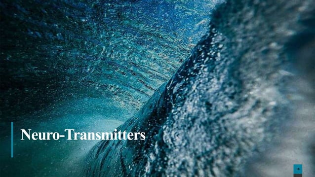 Neurotransmission | Neuromodulation | Mechanism | Disorders | PPT