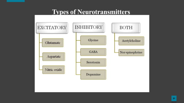 Neurotransmission | Neuromodulation | Mechanism | Disorders | PPT