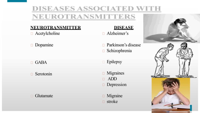 Neurotransmission | Neuromodulation | Mechanism | Disorders | PPT