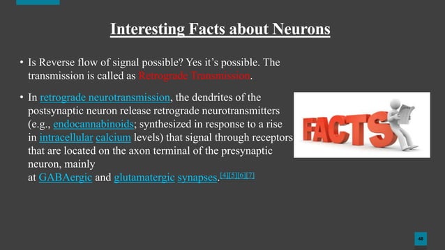 Neurotransmission | Neuromodulation | Mechanism | Disorders | PPT