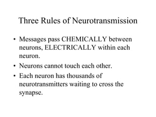 Neurotransmission.ppt