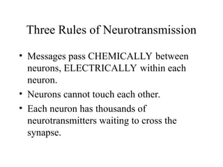 Neurotransmission mechanism and functions | PPT
