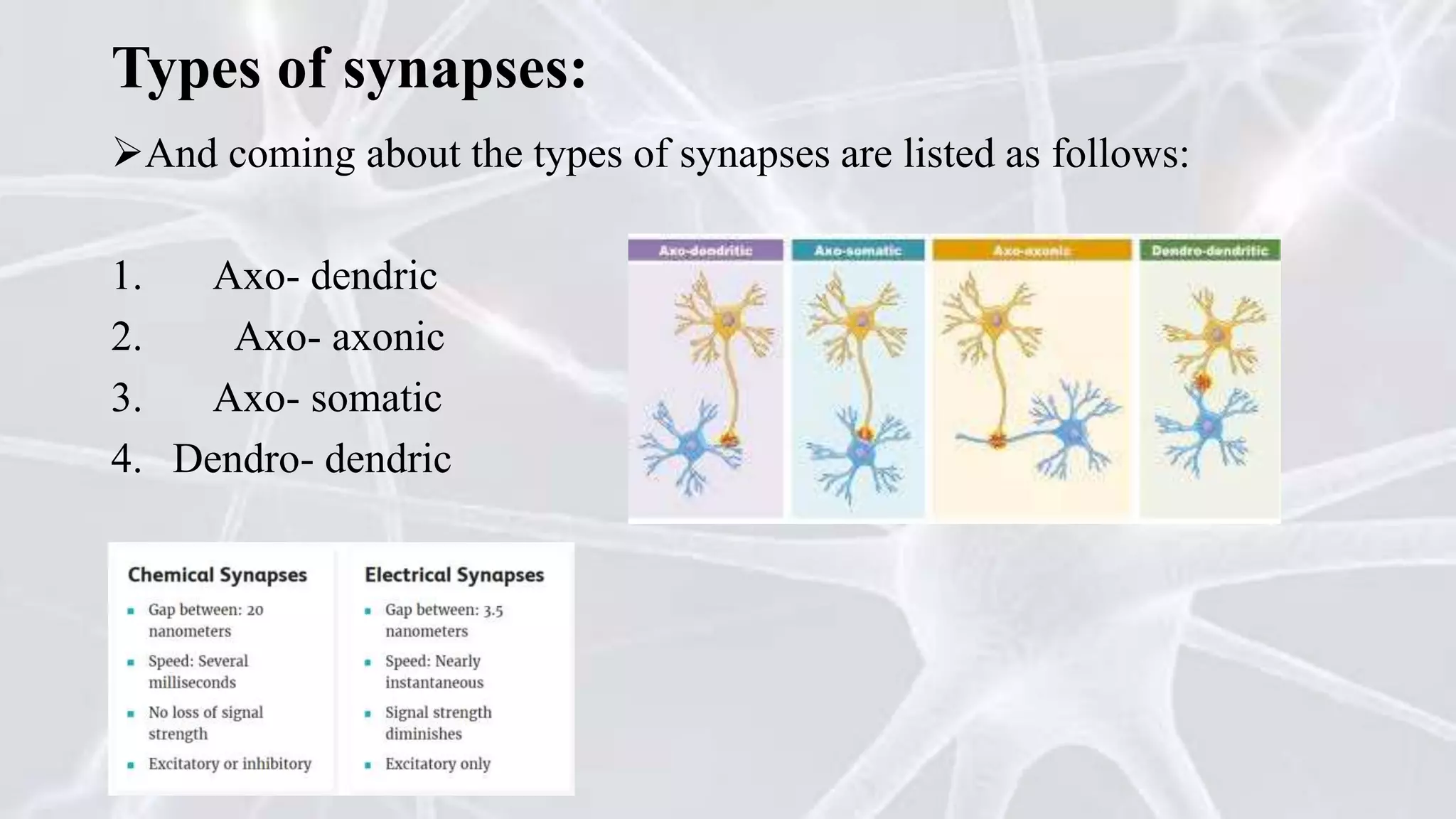 Neurotransmission and neuromuscular junction | PPTX
