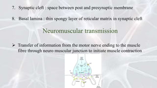 Neurotransmission and neuromuscular junction | PPTX