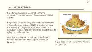 Neurotransmission in Central nervous system. | PPT