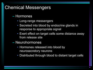 Neurotransmiters of ans synthesis and fate | PPT