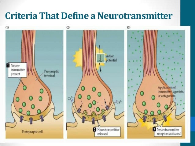 Neurotransmission Definition