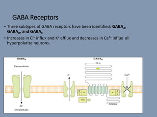 Neurotransmitters | PPTX