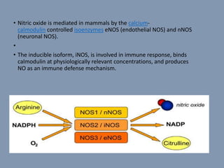 Neurotransmitters | PPTX