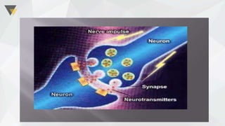 Physiology Neurotransmitter (nervous system) ppt | PPTX