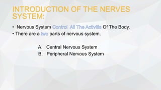 Physiology Neurotransmitter (nervous system) ppt | PPT
