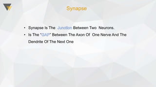 Physiology Neurotransmitter (nervous system) ppt | PPT