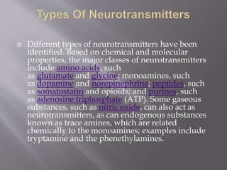 Neurotransmitter | PPT