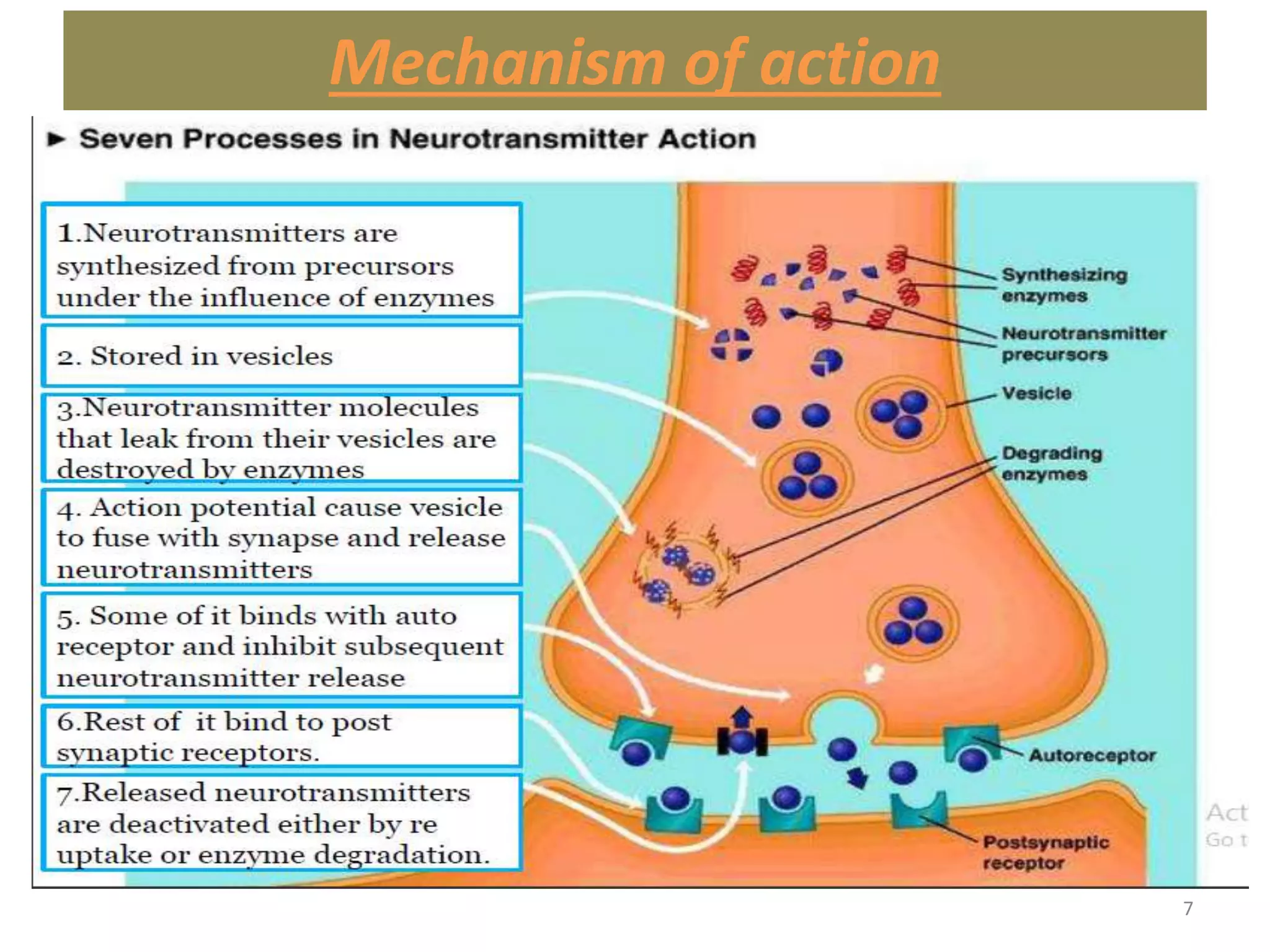 NEUROTRANSMITTER.pptx