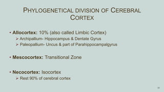 Neurotransmitter.pptx