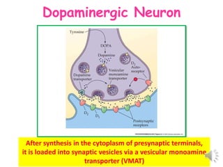 Neurotransmitter 2 | PPT