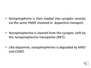 Neurotransmitter 2 | PPT