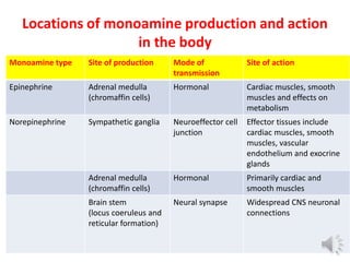 Neurotransmitter 2 | PPT
