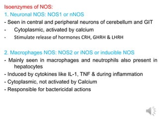 Neurotransmitter 4 | PPTX