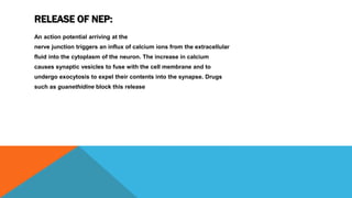 NEUROTRANSMITTER IN AUTONOMIC NERVOUS SYSTEM (1).pptx