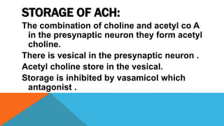 NEUROTRANSMITTER IN AUTONOMIC NERVOUS SYSTEM (1).pptx