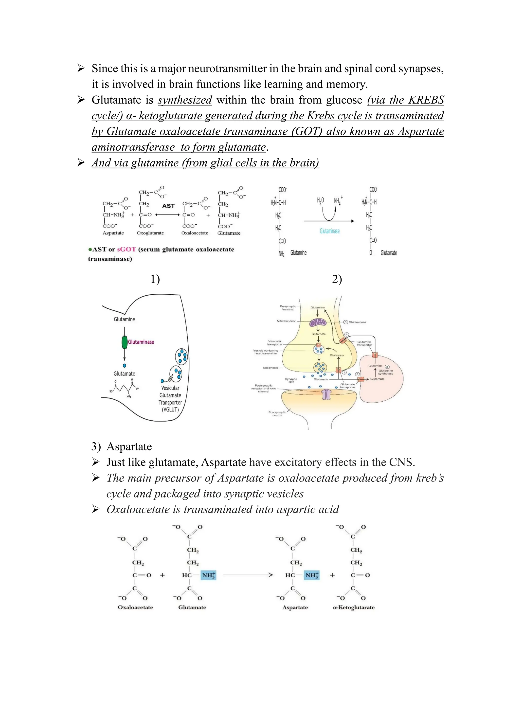 Notes on the Neurotransmitters notes.pdf