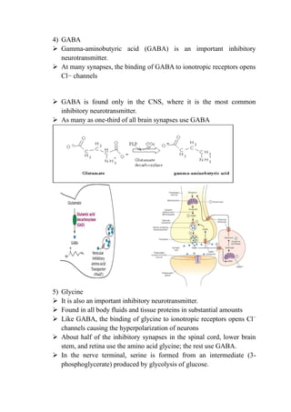 Notes on the Neurotransmitters notes.pdf