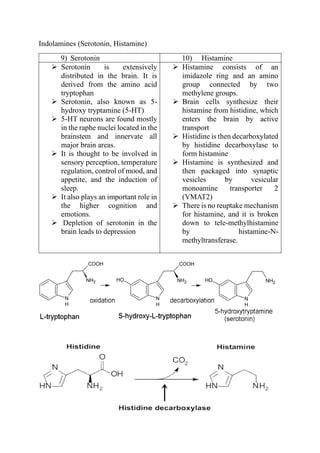 Notes on the Neurotransmitters notes.pdf