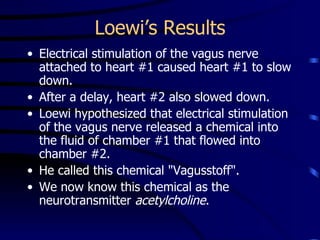 Neurotransmitters | PPT