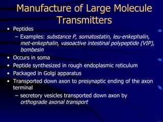 Neurotransmitters | PPT