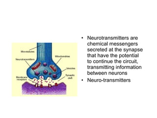 Neurotransmitters | PPT