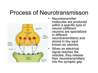 Neurotransmitters | PPT | Brain and Nervous System Disorders | Diseases ...