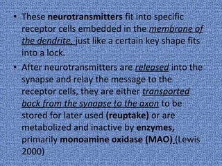 Neurotransmitters | PPT