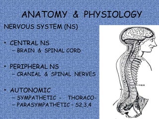 Neurotransmitters | PPT