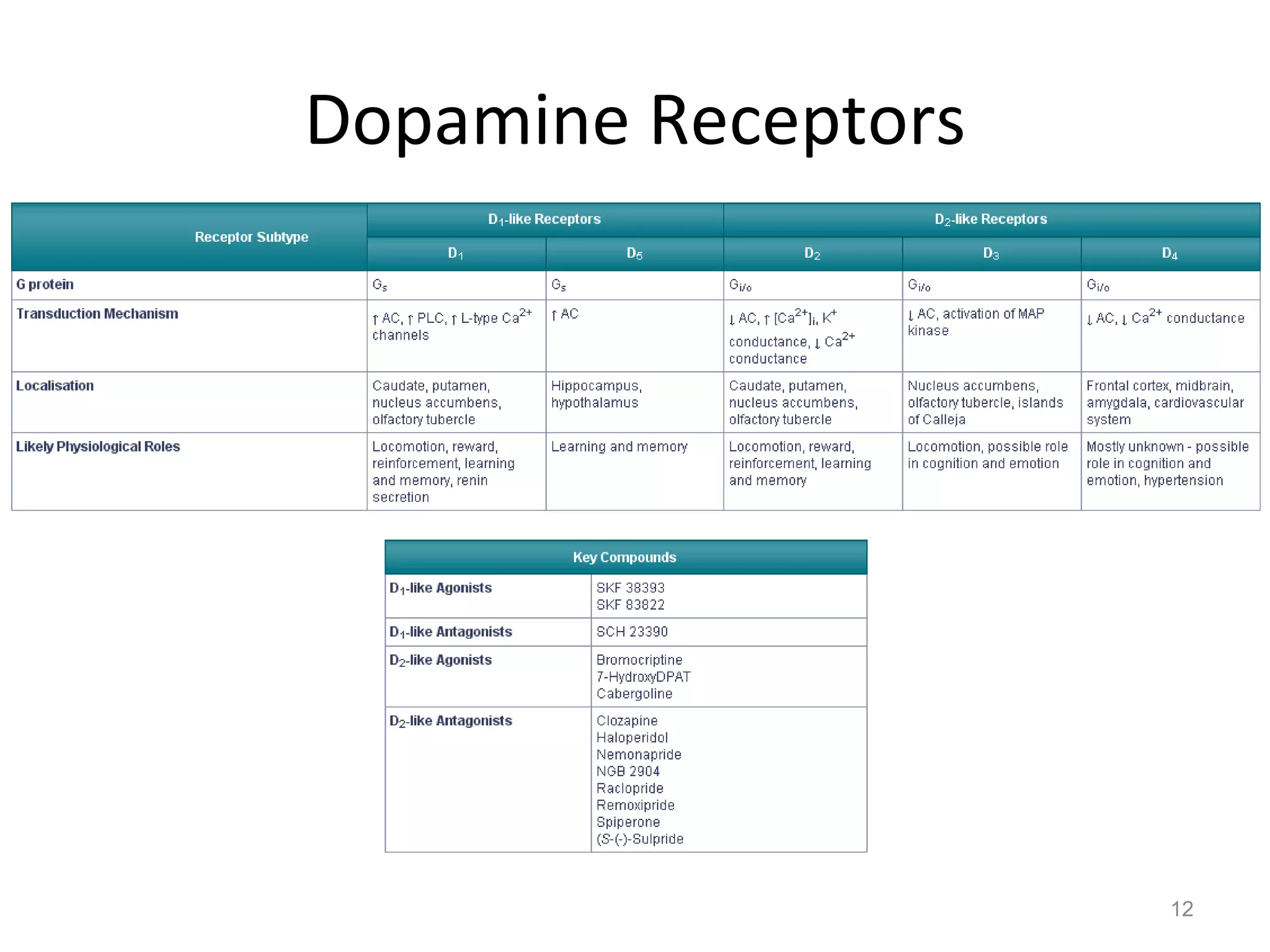 Neurotransmitter - Dopamine | PPT