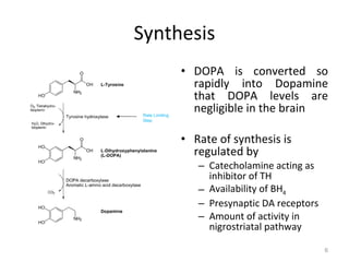 Dopamine Neurotransmitter