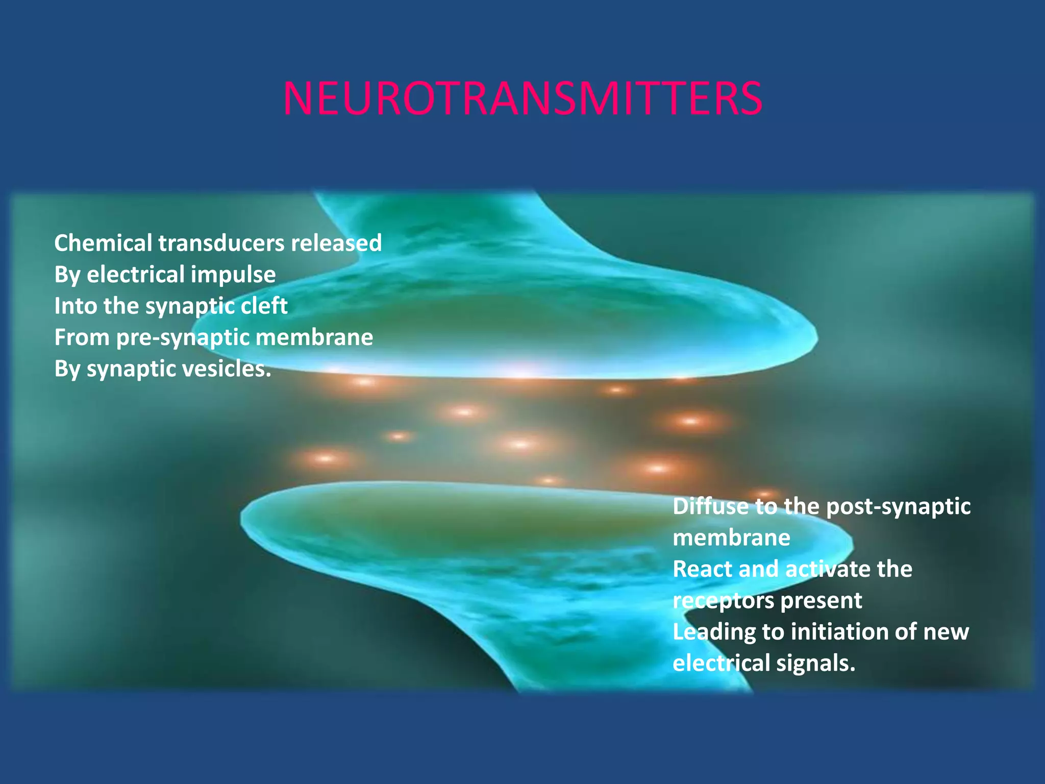 Neurotransmitters | PPTX